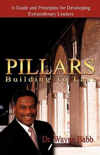 Pillars : Building to Last - A Guide and Principles for Developing ...