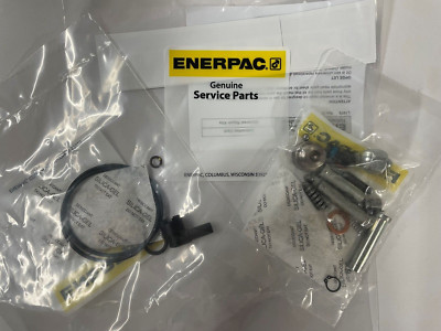 Enerpac P39KV5 Viton Repair Kit for Enerpac Pumps ULTIMA P39 | eBay