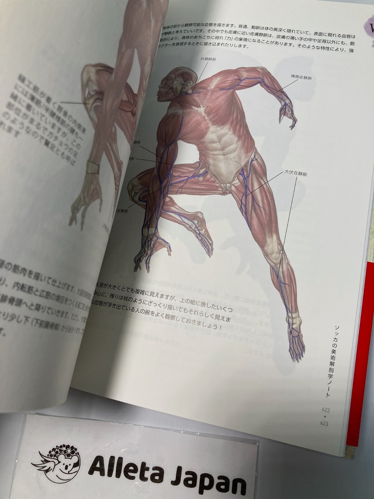 Stonehouse's Anatomy Note Socca Suk Jong Hyun How to Draw Human Body ...