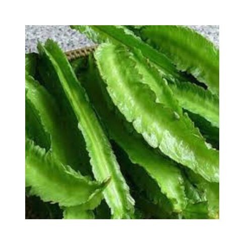 30+ Long winged beans Asparagus pea Wing pea Four Angled bean dhambala ...