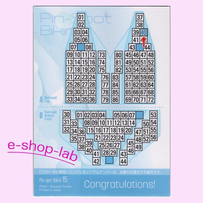 Hit'S/Yanase Saki 2 Pinspo Bikini Card 15A 40/86 Lace | eBay