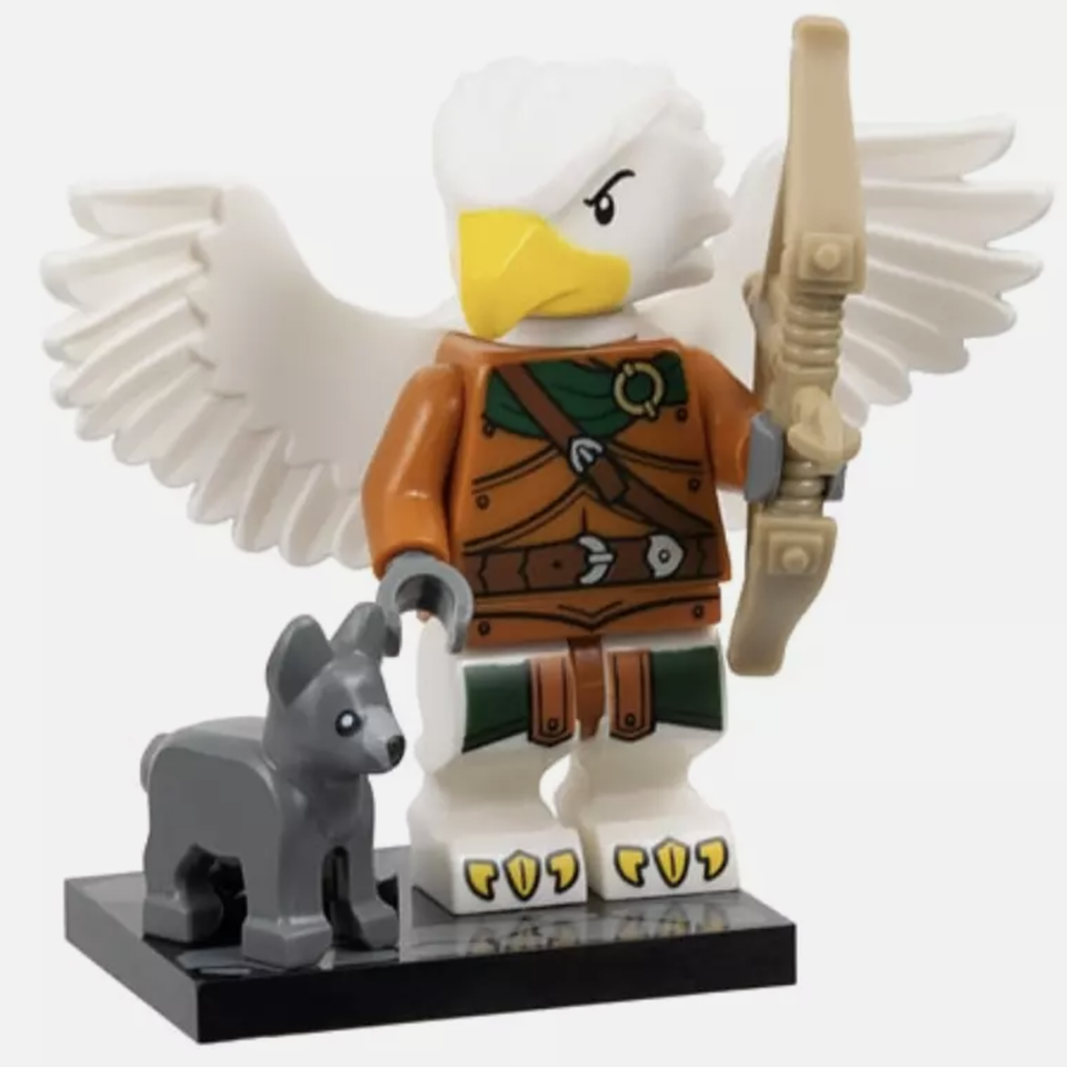 LEGO Dungeons & Dragons Series 71047 - You Pick Your Minifigure | eBay
