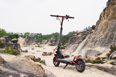 ENGWE Y600 Electric Scooter 850W Off-Road E-Scooter 48V 18.2Ah 10" Tire ...