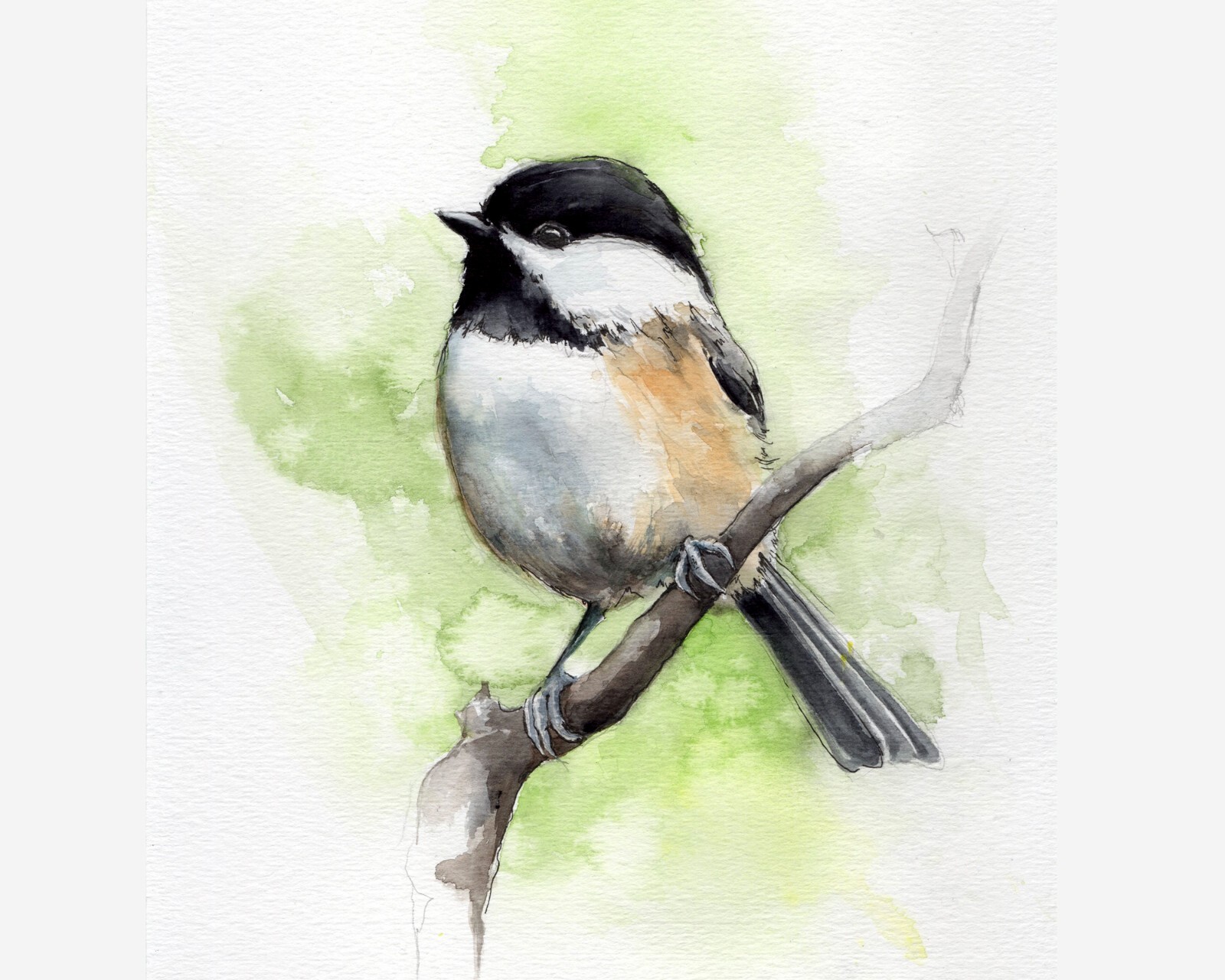 Chickadee Painting