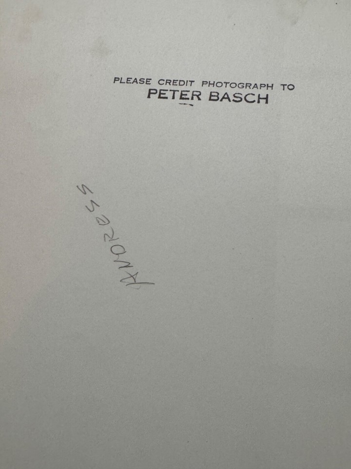 Katey Andress Pretty Nude Model 1960s Contact Sheet Photographer Peter ...