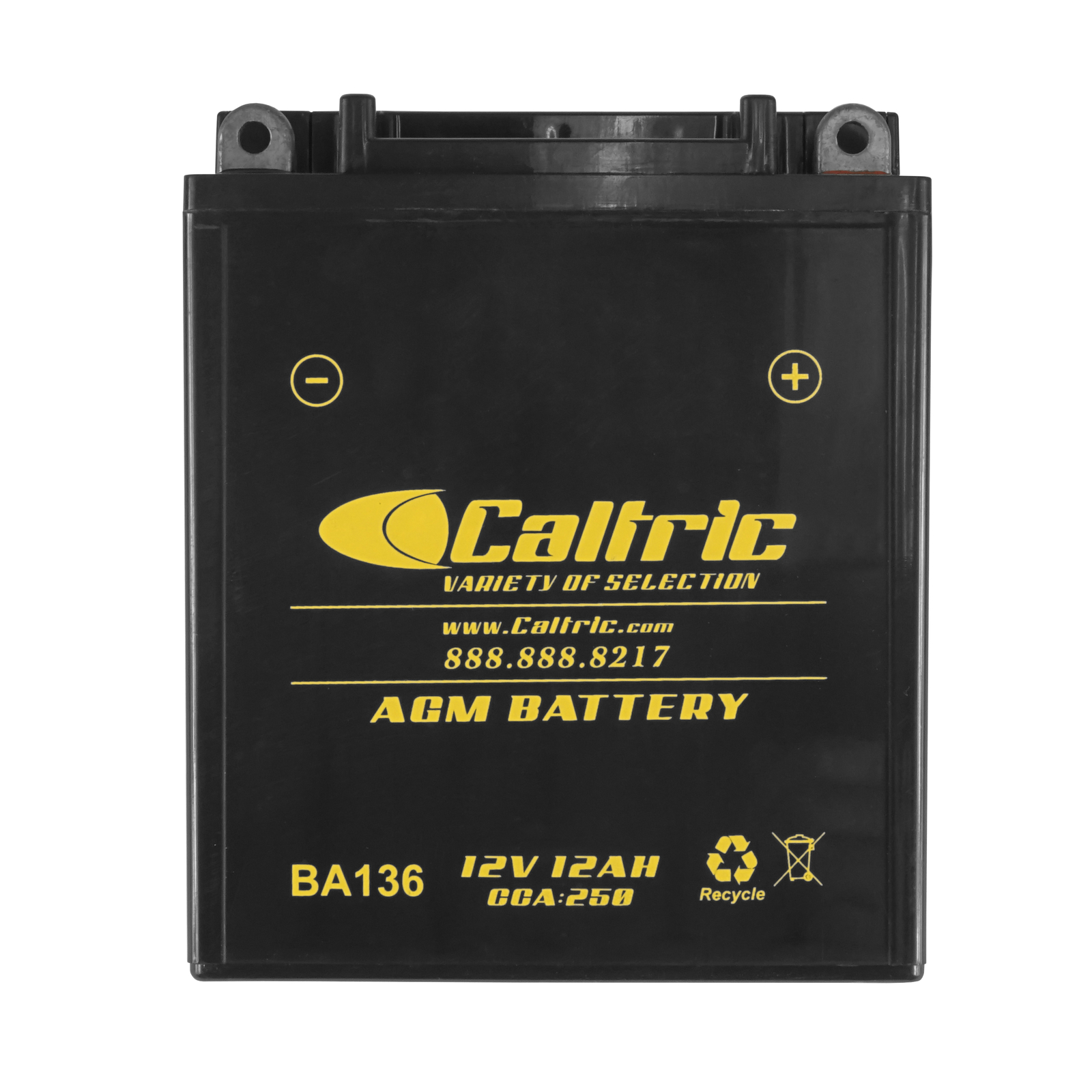 Yb12Al-A2 AGM Battery for Kawasaki Vulcan 500 EN500-C EN500C Ltd 1996 ...