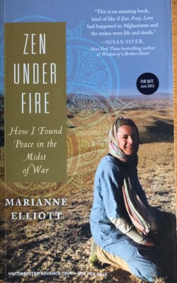ZEN UNDER FIRE ~ MARIANNE ELLIOTT ~ SOFT COVER COVER ~ VERY GOOD ...