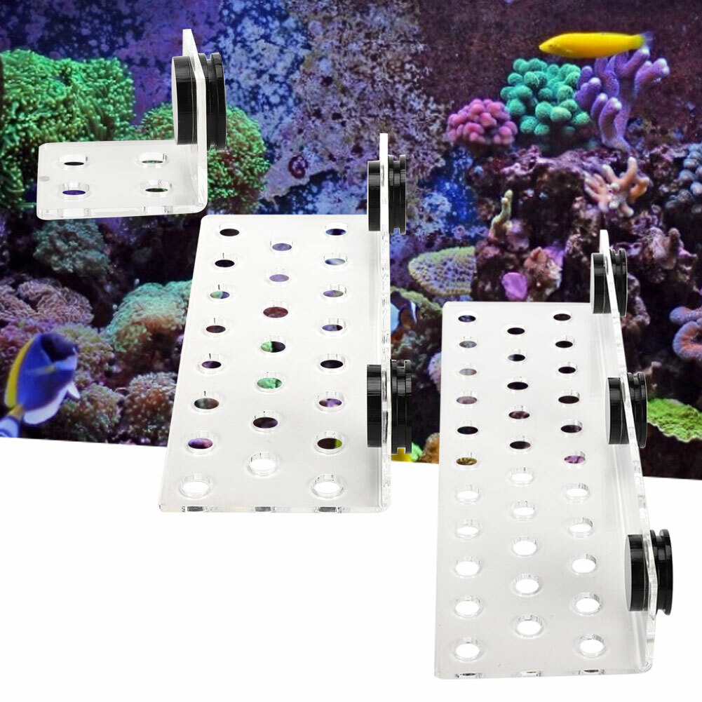 Acrylic Aquarium Coral Racks Bracket Holder Fish Tank Strong Suction ...