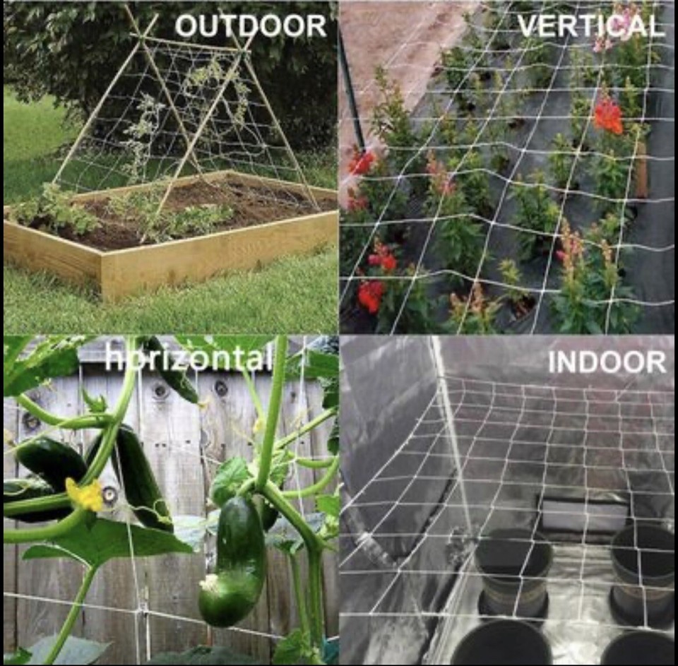 Allweather Trellis Netting Mesh Plant Garden Vine Growing Flexible ...