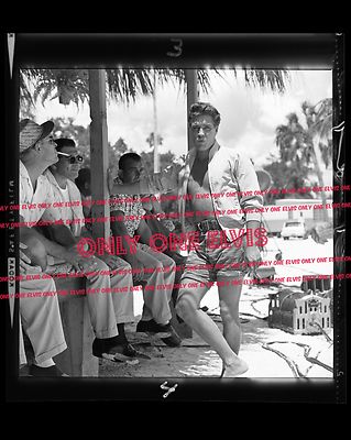 ELVIS PRESLEY in the Movies FULL NEGATIVE PRINT "Follow That Dream ...