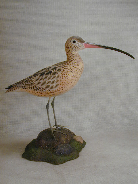 Long-billed Curlew Original Bird Wood Carving | eBay