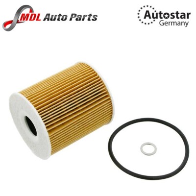 Autostar Germany OIL FILTER For BMW 11422247392 | eBay