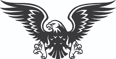 EAGLE HOOD GRAPHIC VINYL GRAPHIC DECAL #5 26" X 13" | eBay