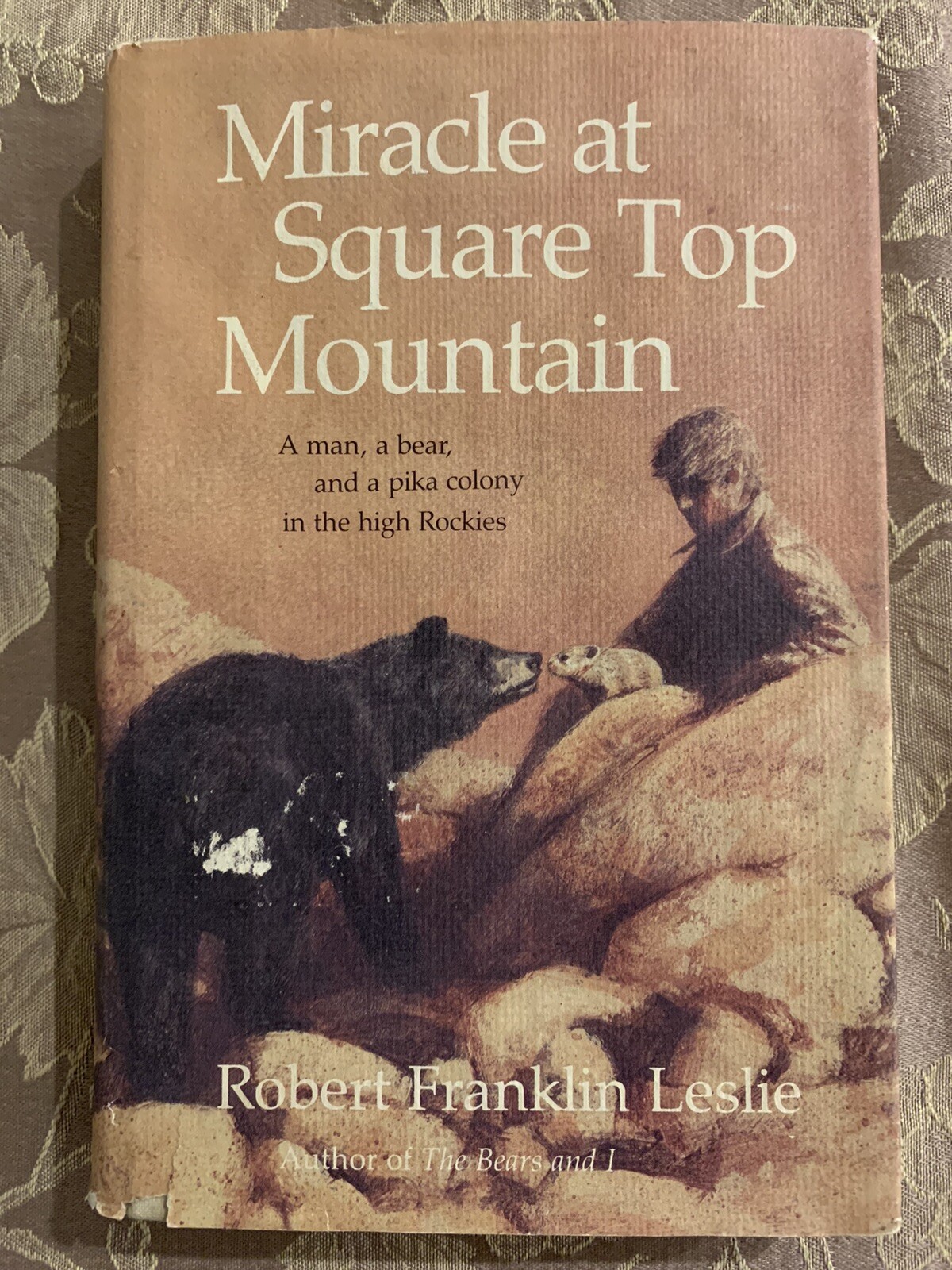 MIRACLE AT SQUARE TOP MOUNTAIN a man, a bear, and pika colony in the ...