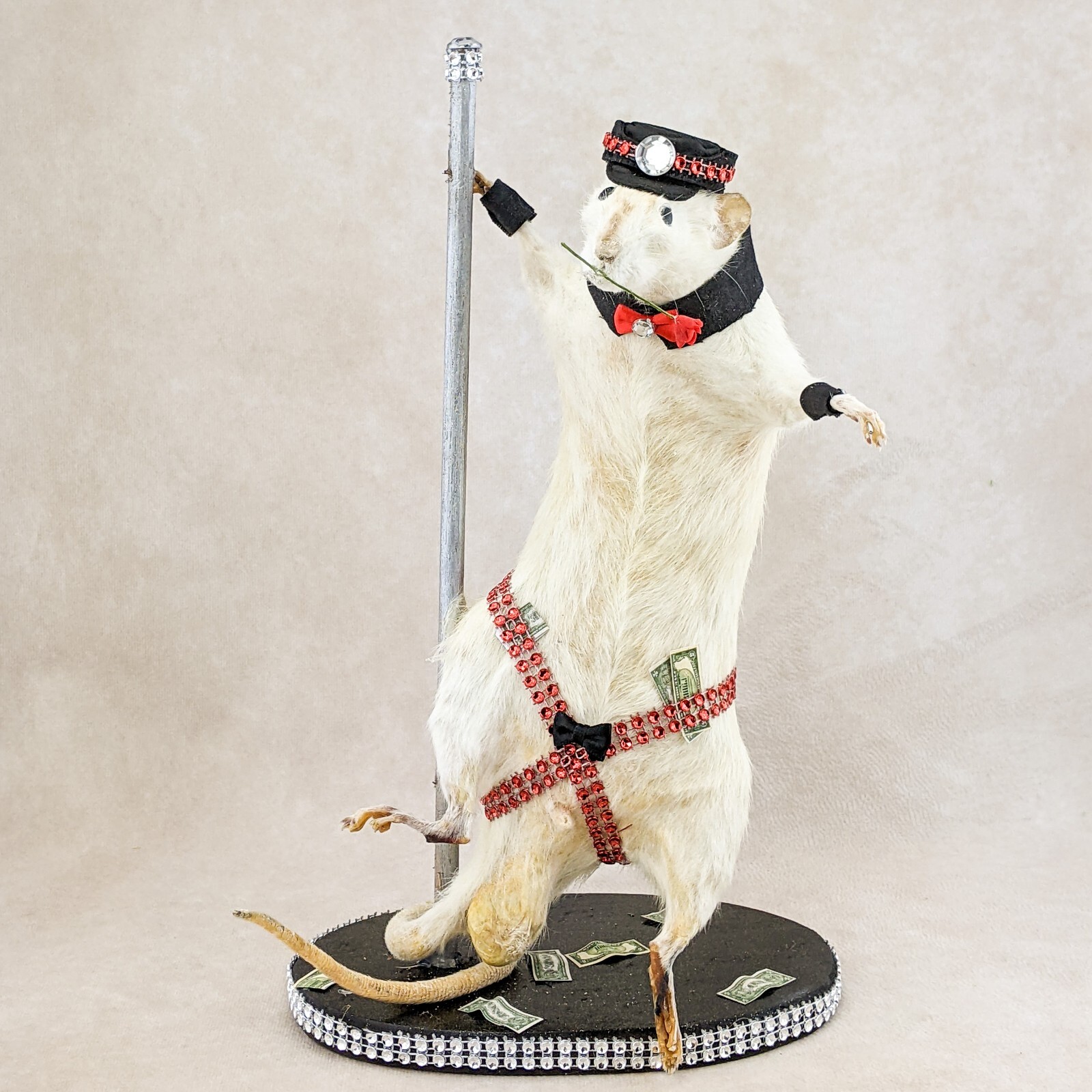 Stripper Rat Pole Burlesque Male Taxidermy Oddities Curiosities Decor ...