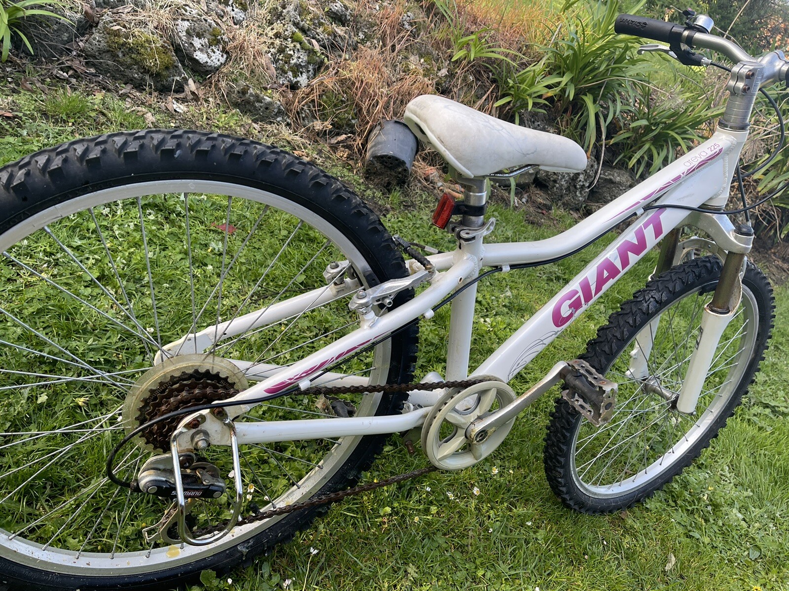 Giant Areva 225 Suspension Bike 24” | eBay Australia