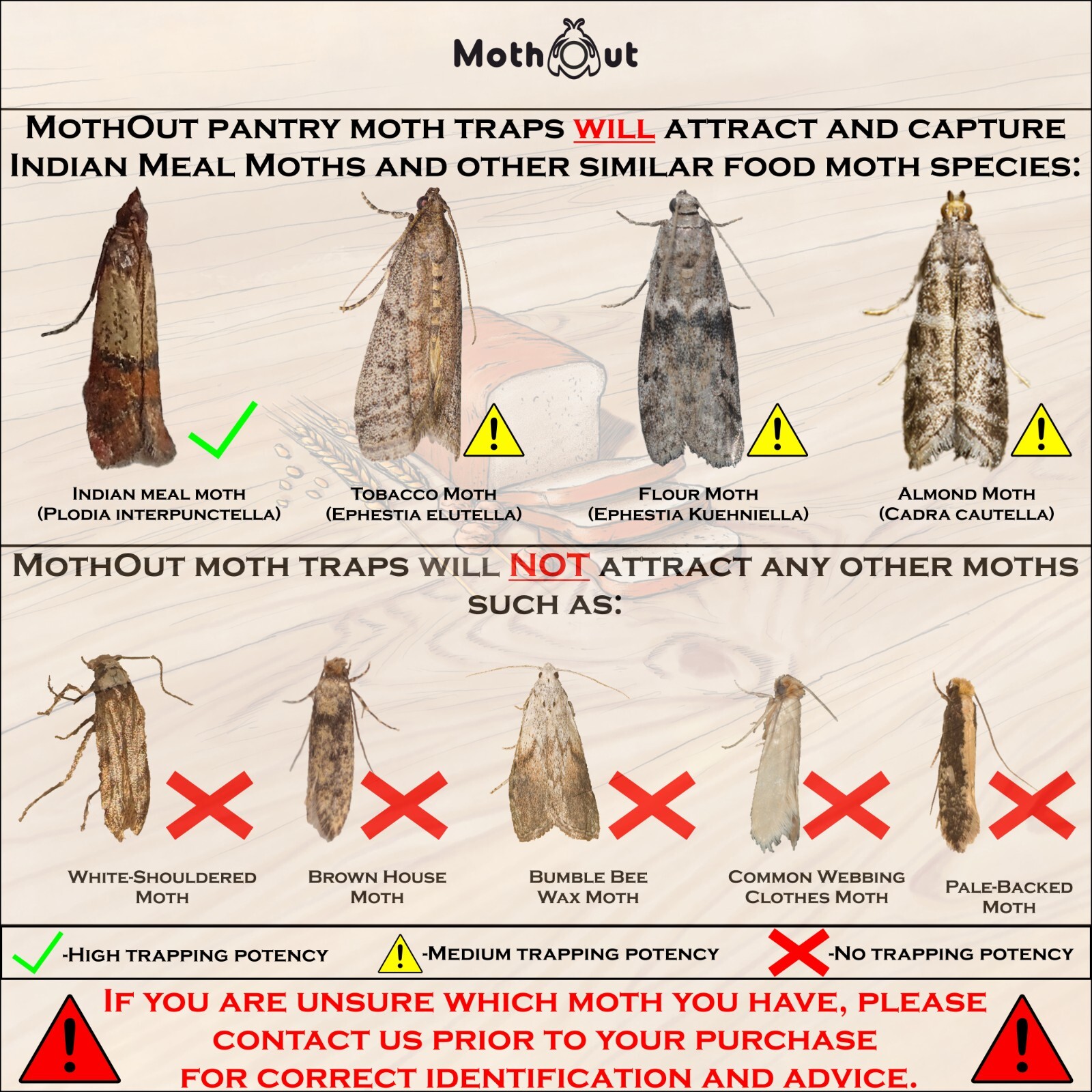 MothOut Pheromone Pantry Moth Traps, Food Moths Monitoring, Kitchen ...
