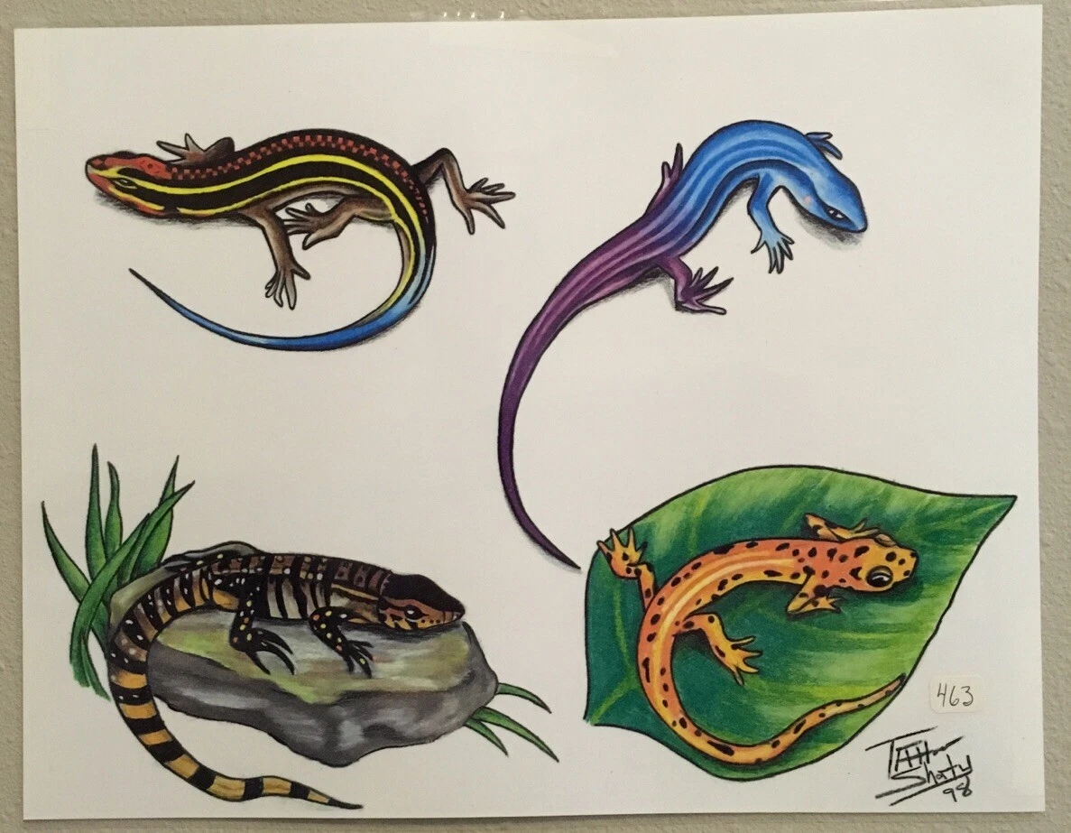 Salamander Tattoo Designs