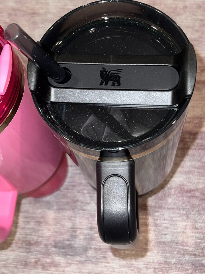 Stanley X Wicked 40oz Tumbler Target Exclusive Bundle Set Elphaba ...