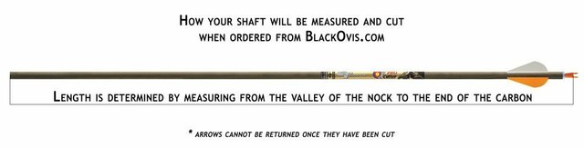 Gold Tip Hunter 400 Arrows With 2" Raptor Vanes 12pk HUN400A2 for sale ...