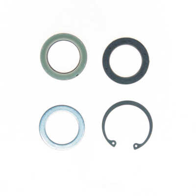 Steering Gear Pitman Shaft Seal Kit Edelmann 8717 | eBay