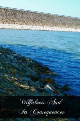 Wilfulness And Its Consequences 9781466302150| eBay