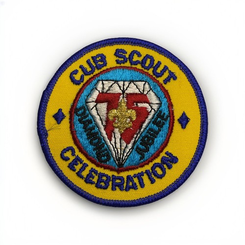 Cub Scout Emblems Patches Scribe Celebration Day Camp BSA Activity ...