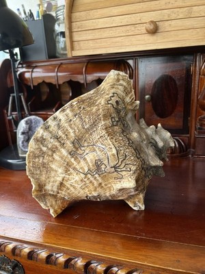 Ancestral Pink Conch Shell with Hopi Petroglyphs & Ammonite Inlay ...