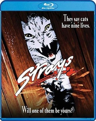 Strays [New Blu-ray] Widescreen 826663199864| eBay