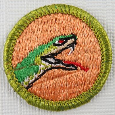 Reptile Study Merit Badge 1972-1993 Type H [MB-711] | eBay