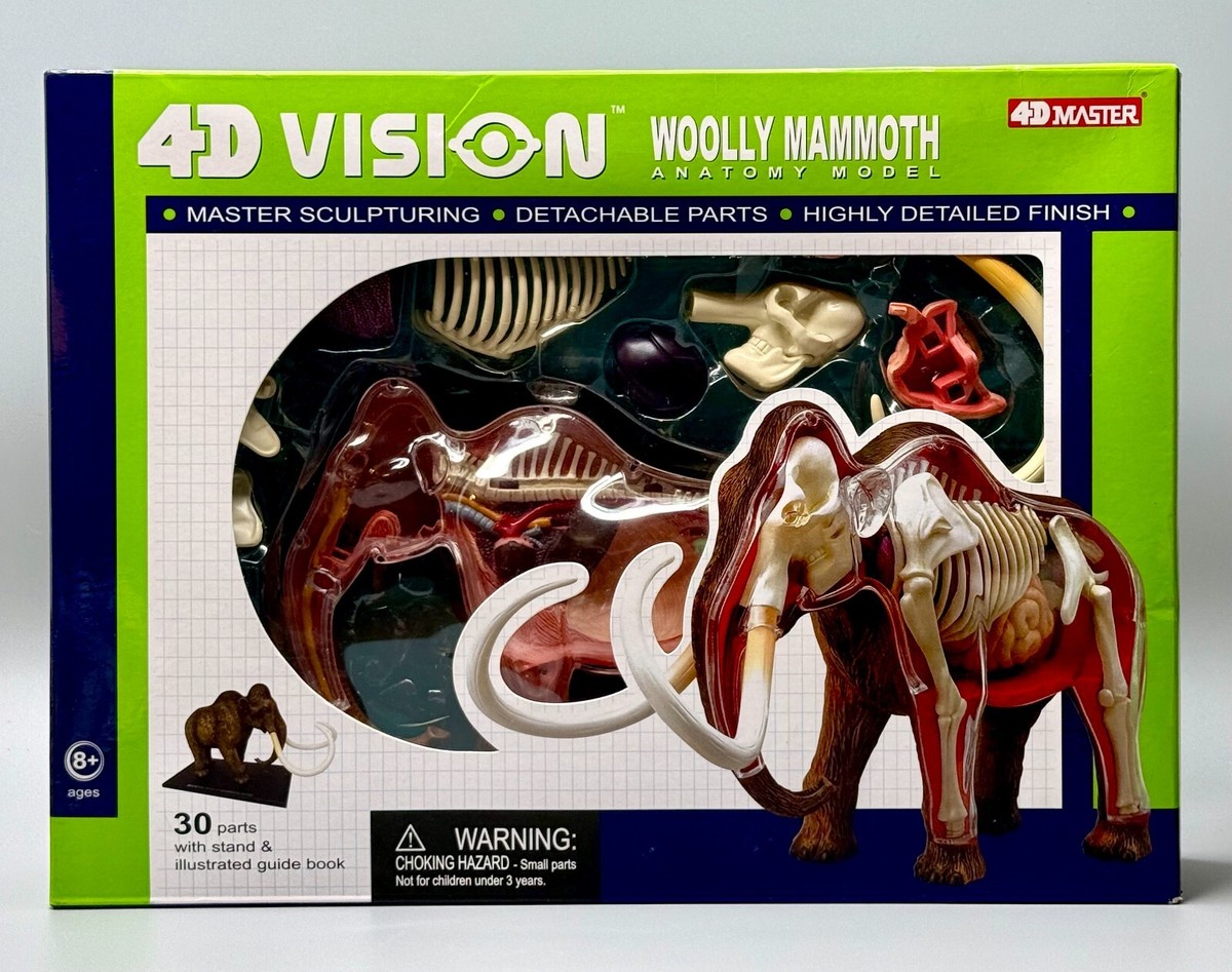 Woolly Mammoth Diagram One Panel Of A Wooly Mammoth, From The