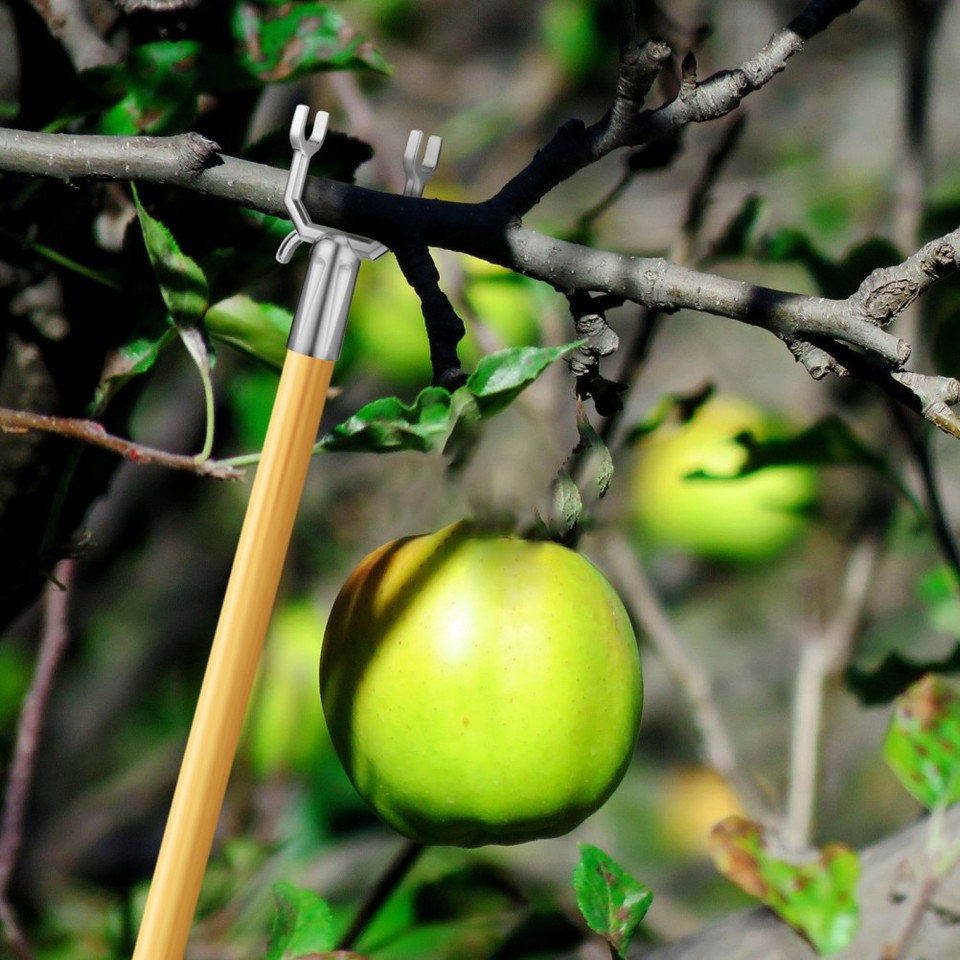 6 Pcs Tree Stabilizer Support Straightening Kit Fruit Branch Supports ...