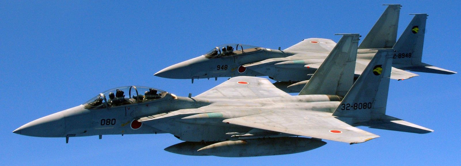 JASDF Japan Air Self-Defense空中自衛隊Pacific Air Force Joint ExerciseRED ...