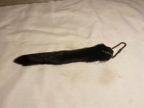 Tanned Mink Tail Fur Skin Pelt Taxidermy Hide Part | eBay