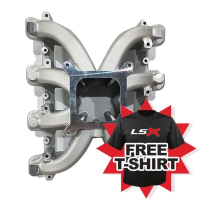 300-132 Single Plane Carb Intake Manifold for GM LS1 LS2 LS6 Cathedral ...