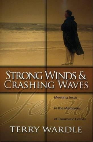Terry Wardle Strong Winds & Crashing Waves (Poche) 9780891125129 | eBay