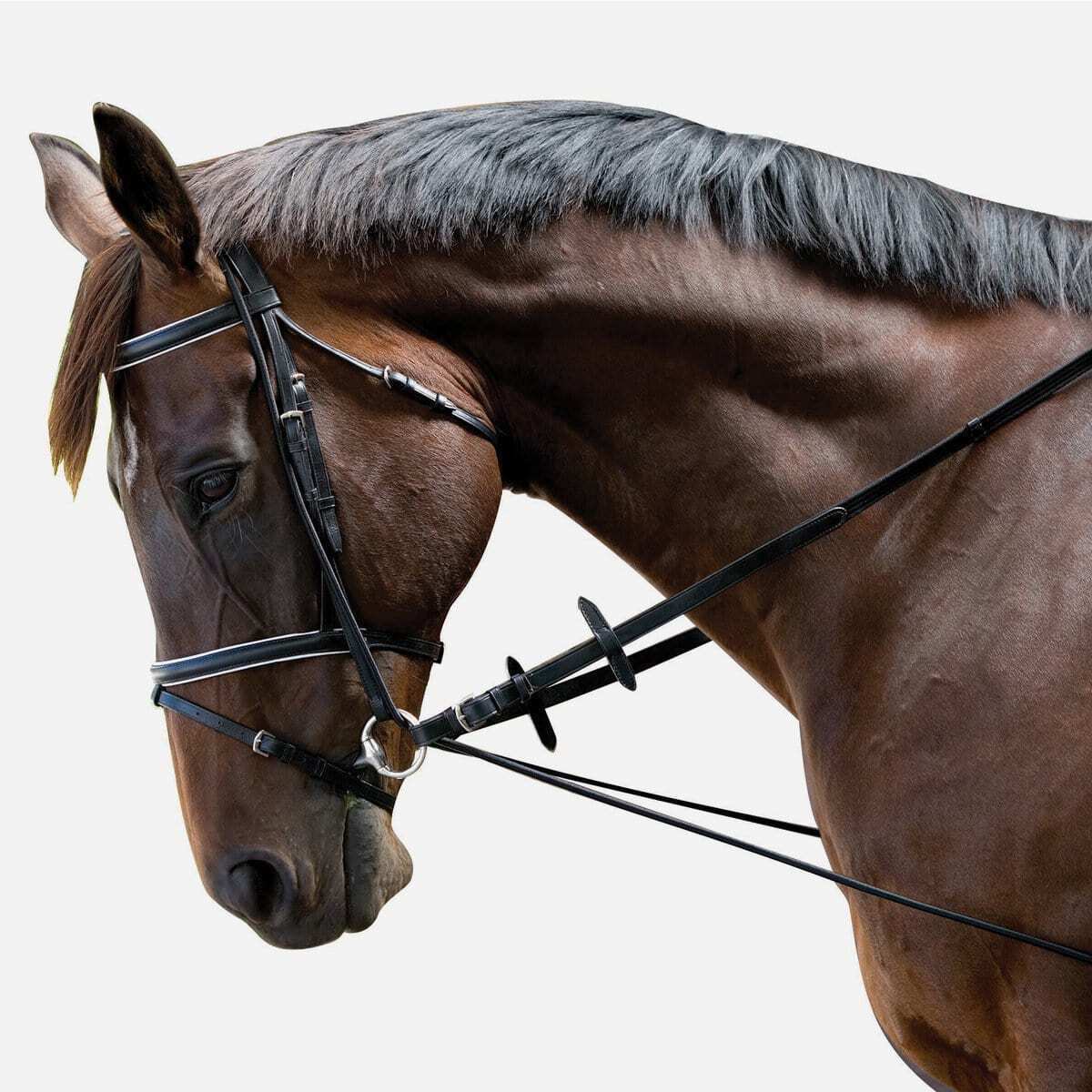 Kincade Elastic Chambon - Black for sale online | eBay