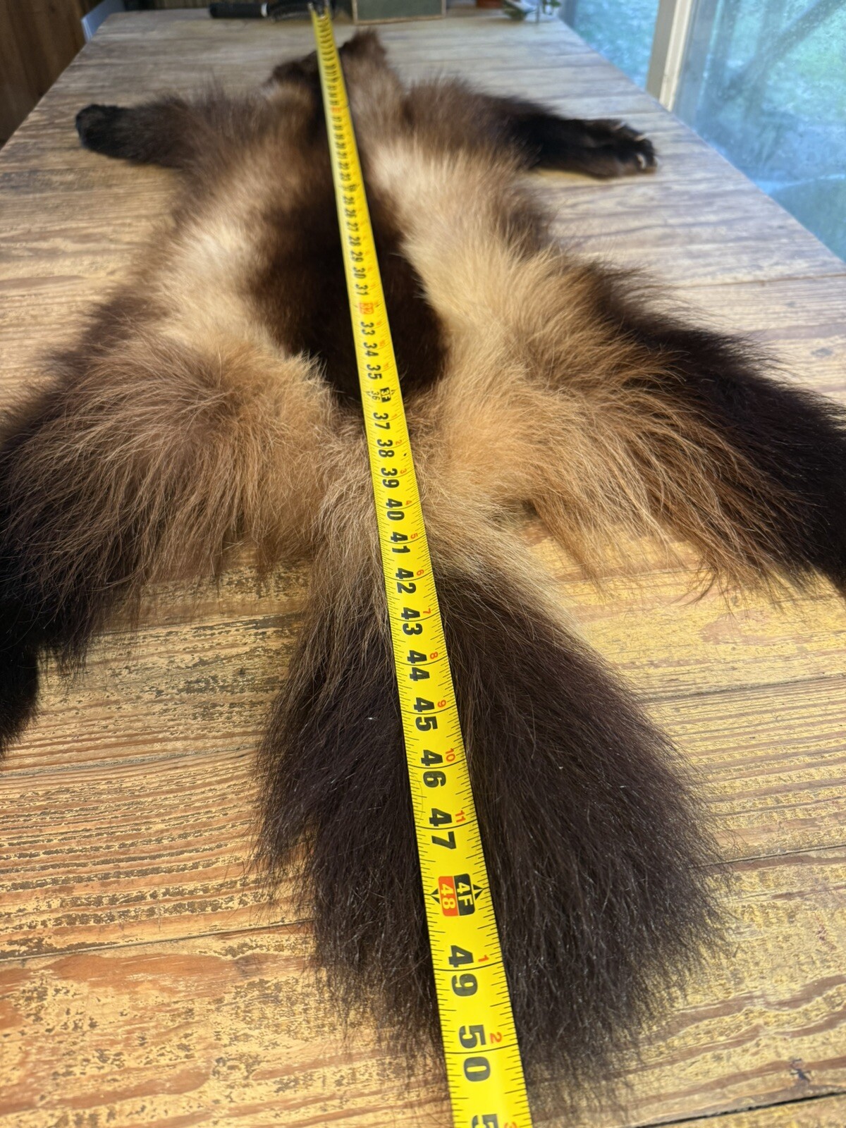 Vintage Full Wolverine Pelt with Claws | eBay