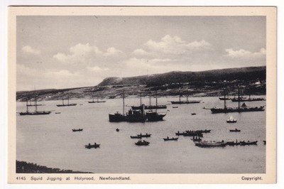 Squid Jigging at HOLYROOD Newfoundland Canada 1930s © Ayre - Photo TEX ...