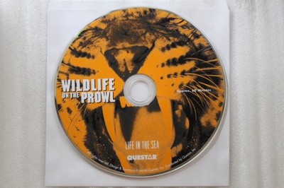 Wildlife On Yhe Prowl DVD Life In The Sea | eBay
