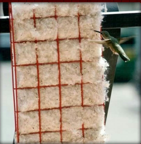 Hummingbird Helper NESTING MATERIAL & CAGE Songbird Essential HUMMER ...