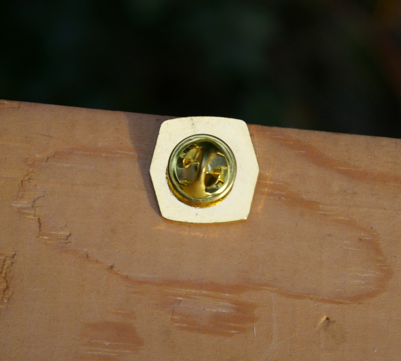 Molson Golden American Lager Coors Canada Gold Tone Metal & Enamel Pin ...