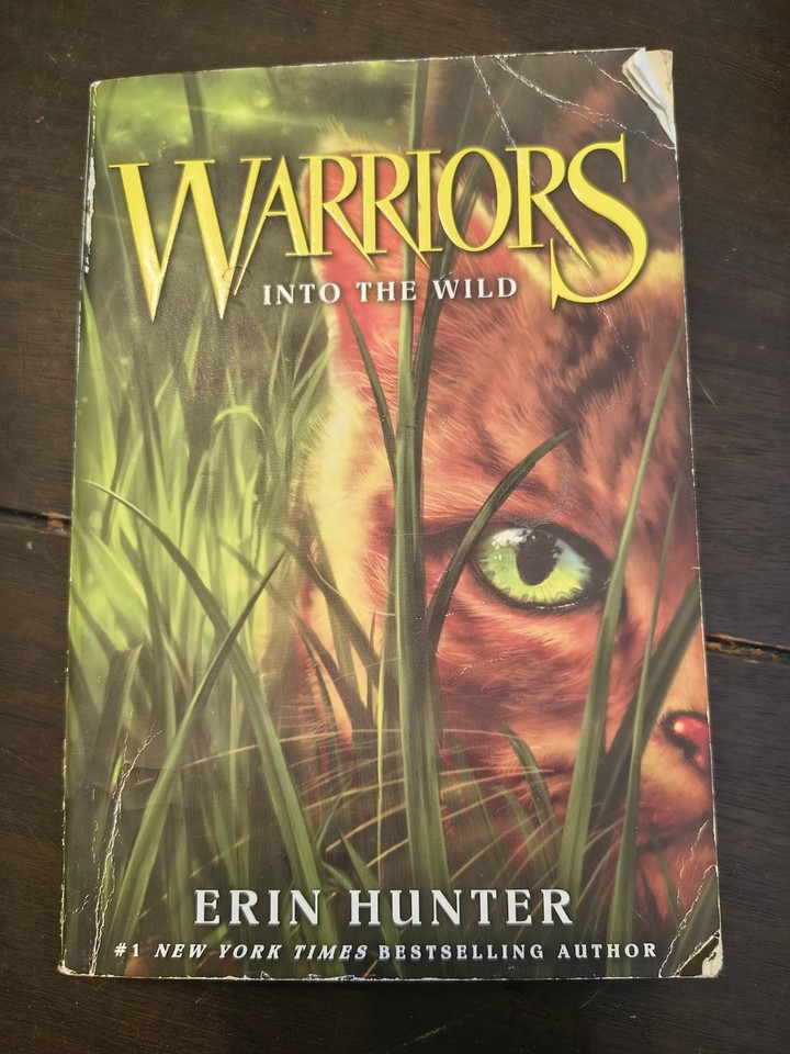 Warriors Box Set: Volumes 1 To 6 : The Complete First Series by Erin ...