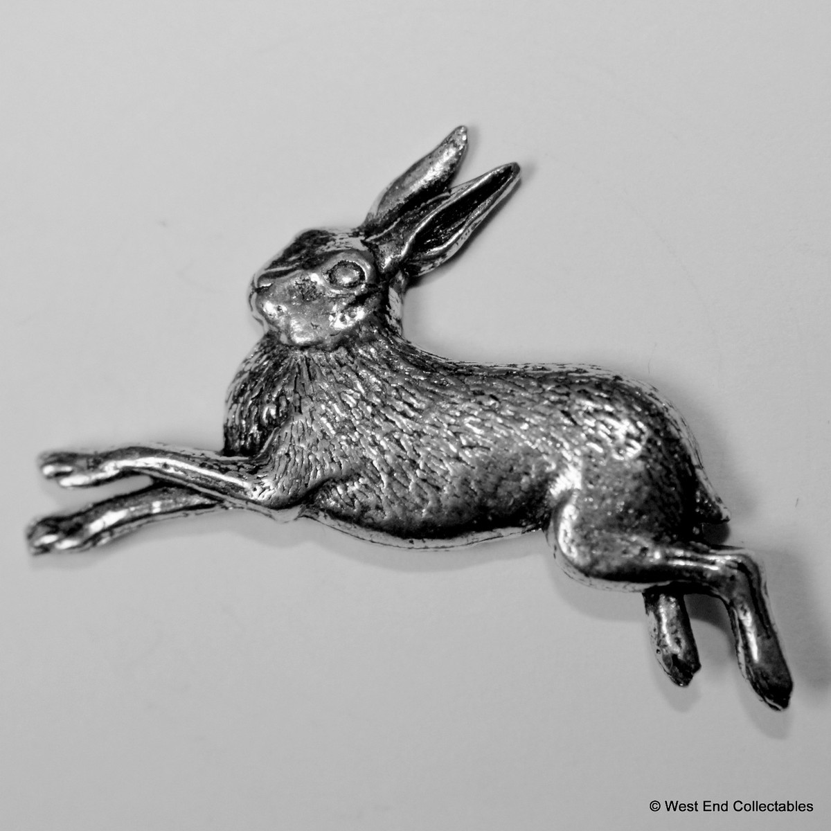 Pin On Hares Photos