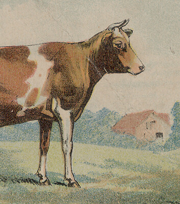 1880's DOMESTIC SEWING MACHINE TRADE CARD, BEAUTIFUL $30,000 JERSEY COW ...