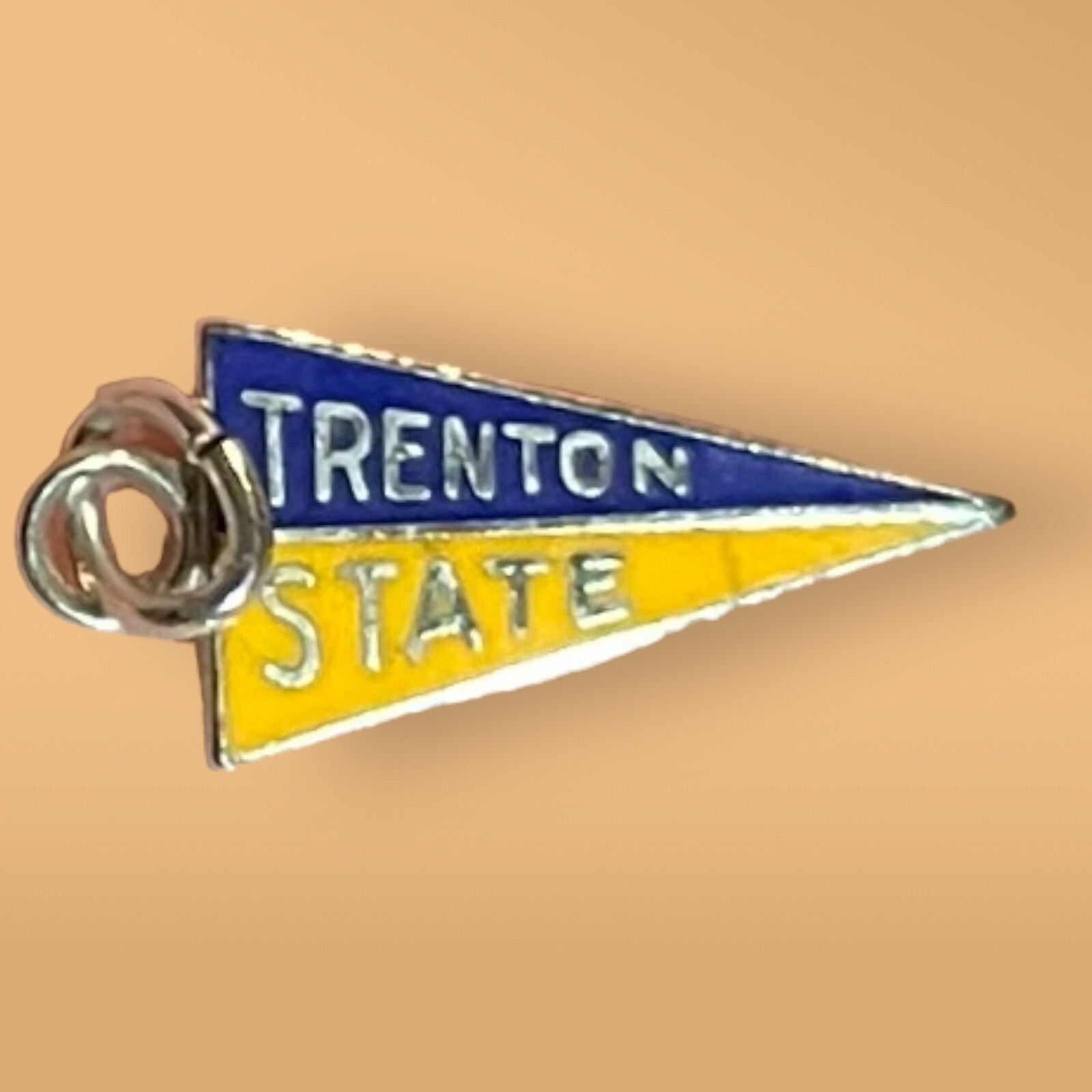 Vintage Trenton State College of New Jersey TCNJ Enamel Silver Pennant ...