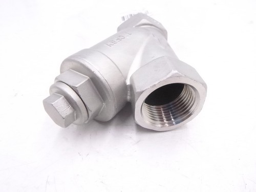Guardian 06S011N03010 Stainless Steel 1" Full Port Y-Strainer 316SS ...