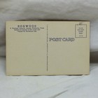 Vintage Postcard Annet Cargill Floral Dogwood Motif Scene | eBay