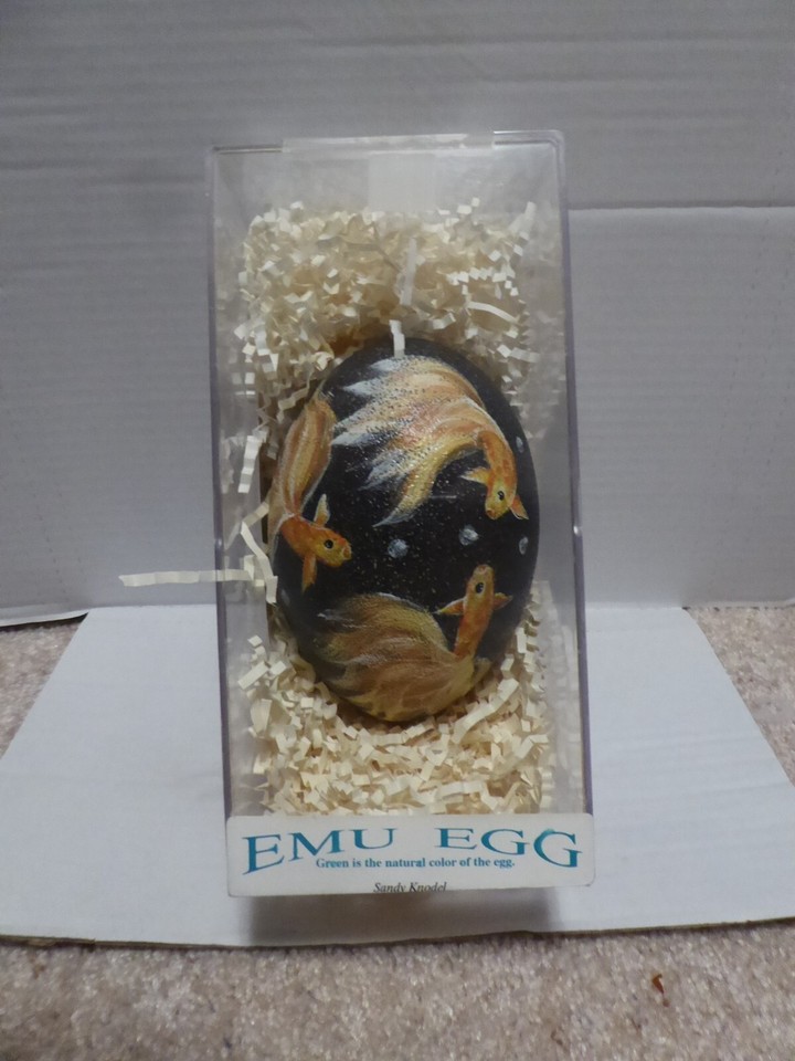 Hand Painted Emu Egg Beautiful Tropical Fish with plastic box | eBay