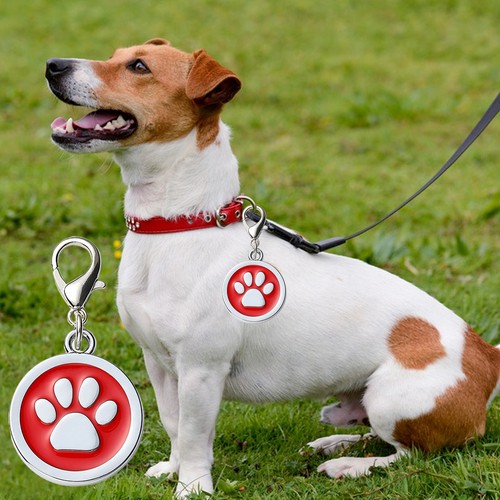 Cat Name Tag Rust-proof Decorative Double-sided Pet Dog Cat Id Tags | eBay